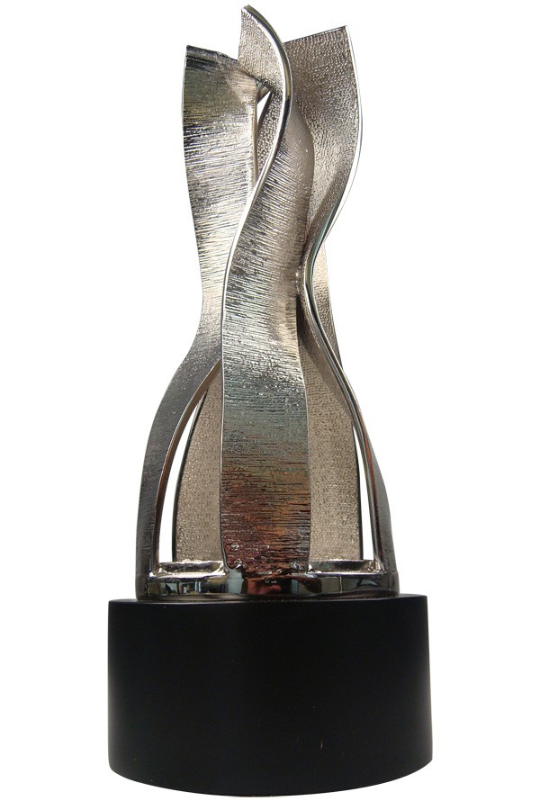 Custom Award Design Portfolio for Unique Recognition
