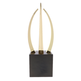 XL Vision Award
